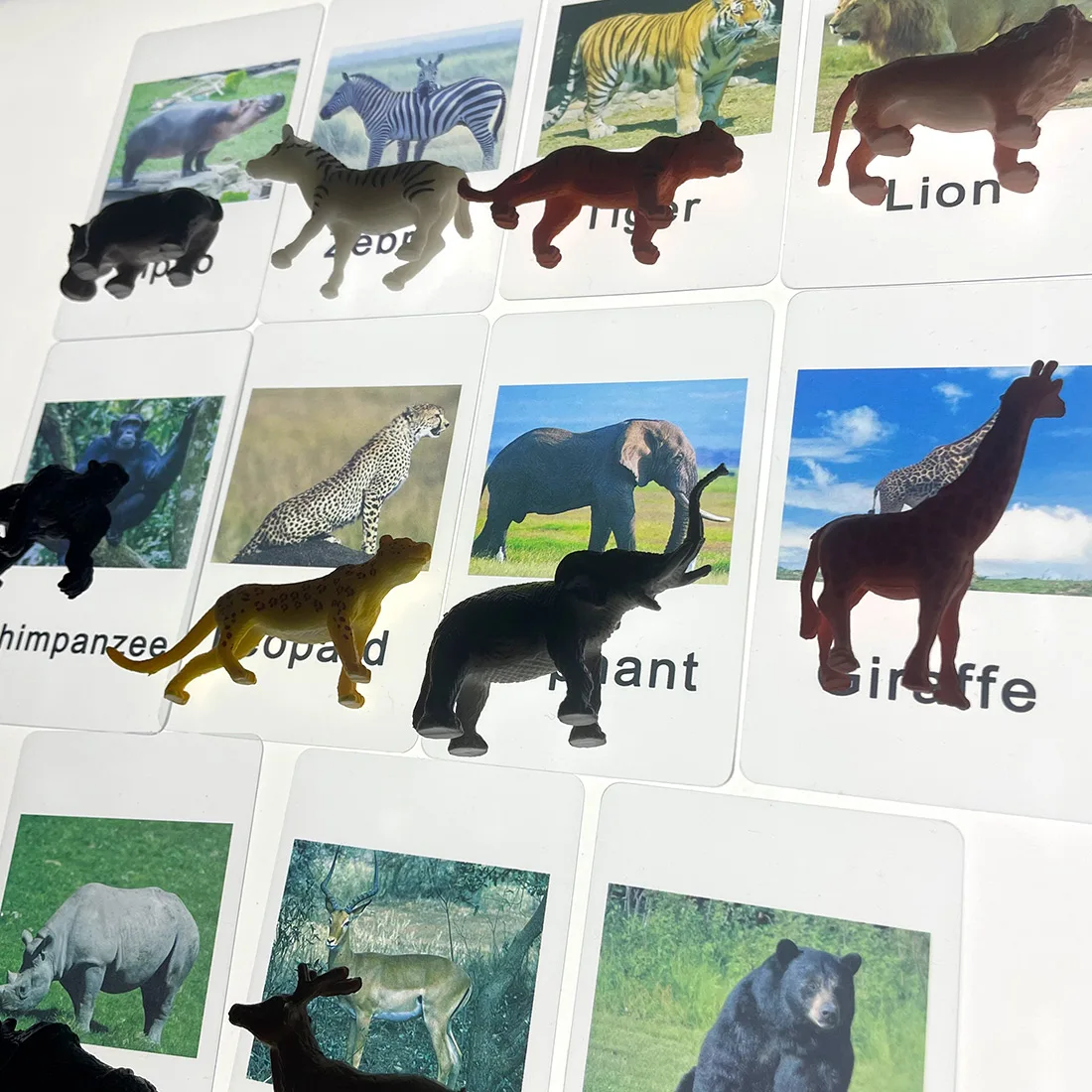 Montessori-Sensory-Table-Animal-Matching-Card-Montessori-Light-Table ...