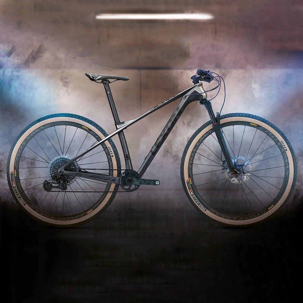 LEXON MTB Carbon Frame 29er Mountain Biycle Hardtails 148*12mm 12*142 ...