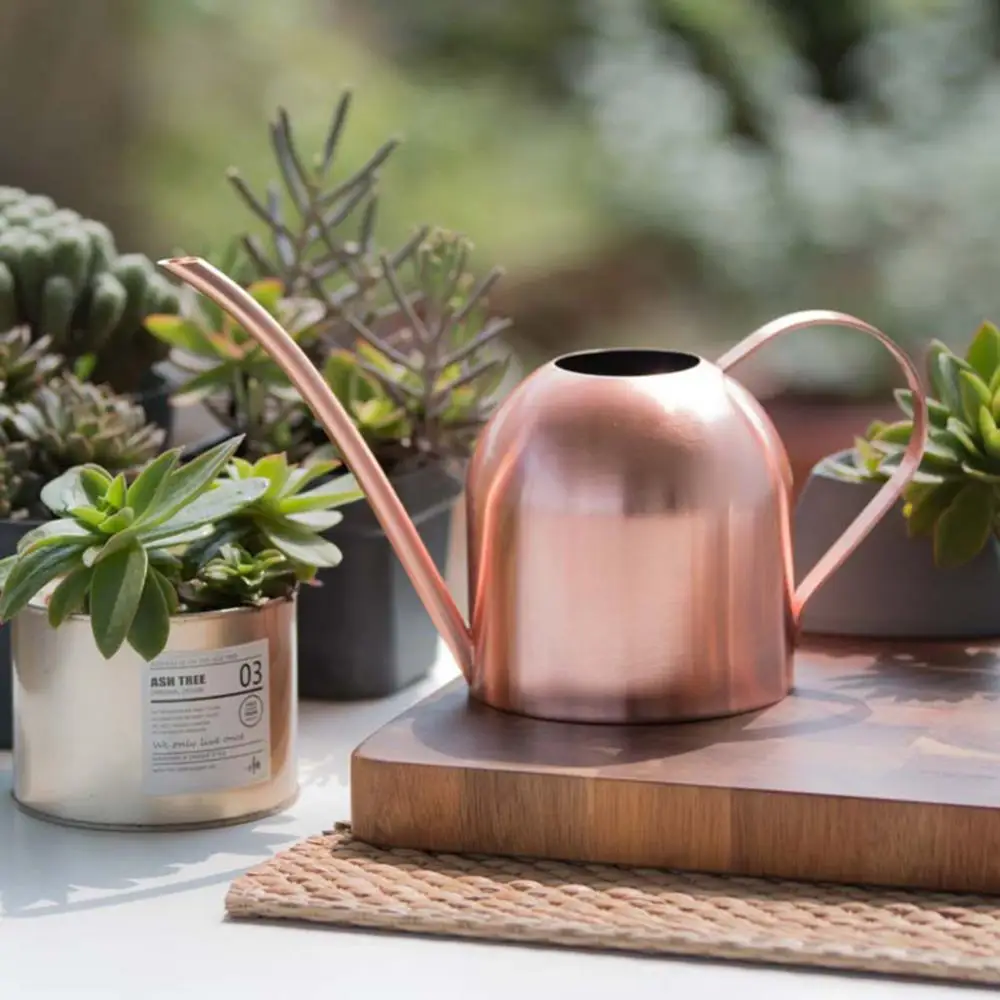 500ML-Watering-Can-Stainless-Steel-Watering-Pot-Long-Spout-Home-Garden ...
