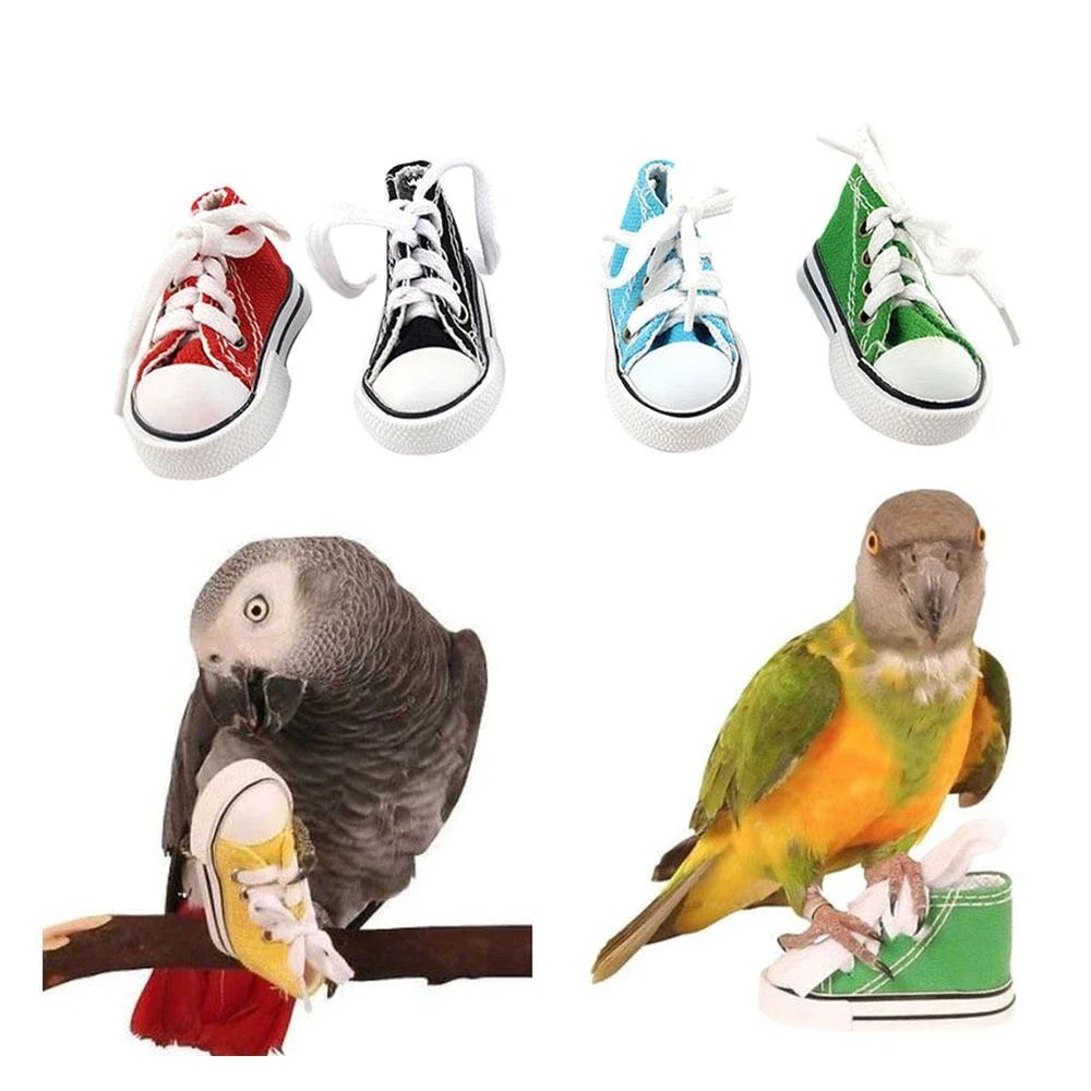 Mini-Canvas-Shoes-Parrot-Bird-Toys-Pet-Shoe-Cage-Decoration-Standing ...