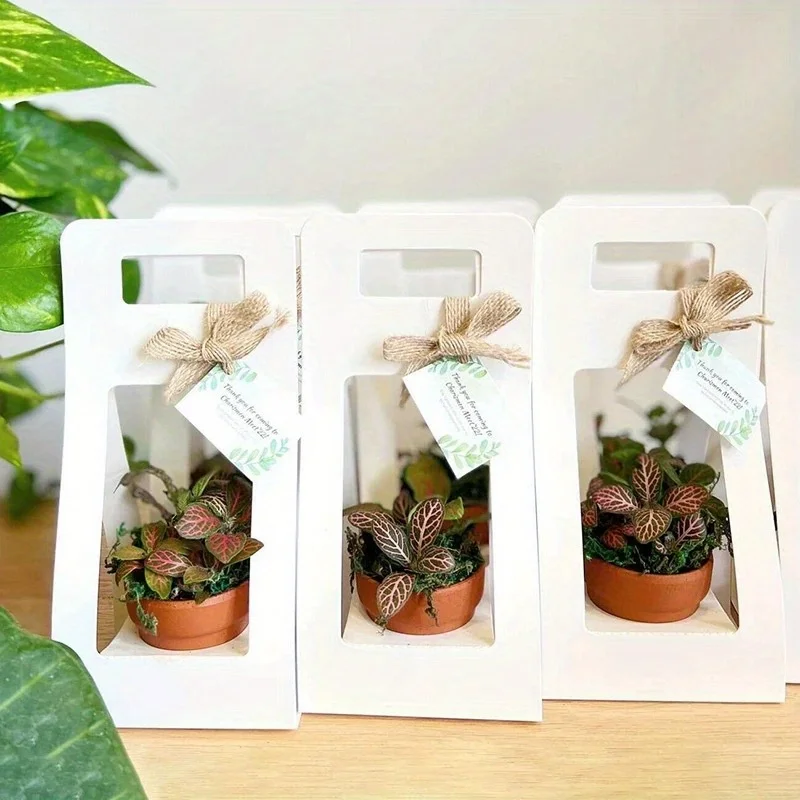 Kraft Paper Wraps 60-Piece Succulent Gift Wrap Kit With Mini Pots ...