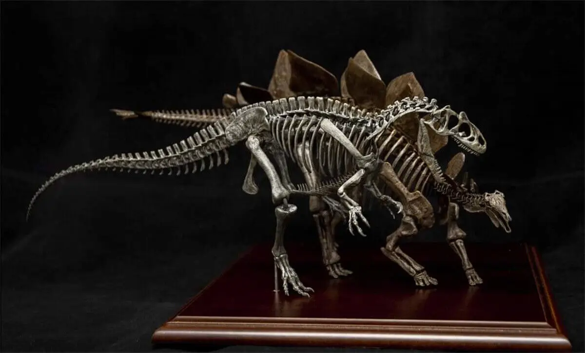Allosaurus Skeleton Model