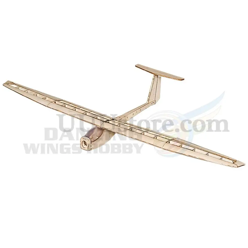 Rc Flying Wing Gliders