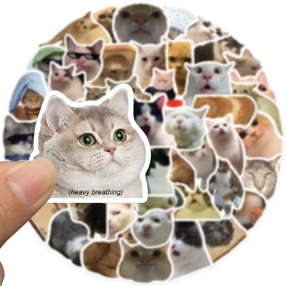 Chikawa Stickers 50pcs Nicolas Cage Stickers, Funny Meme Graffiti ...