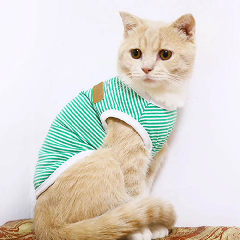Cotton Pet Supplies | Cotton Pet Clothes | Cat Clothes | Cotton Vest ...