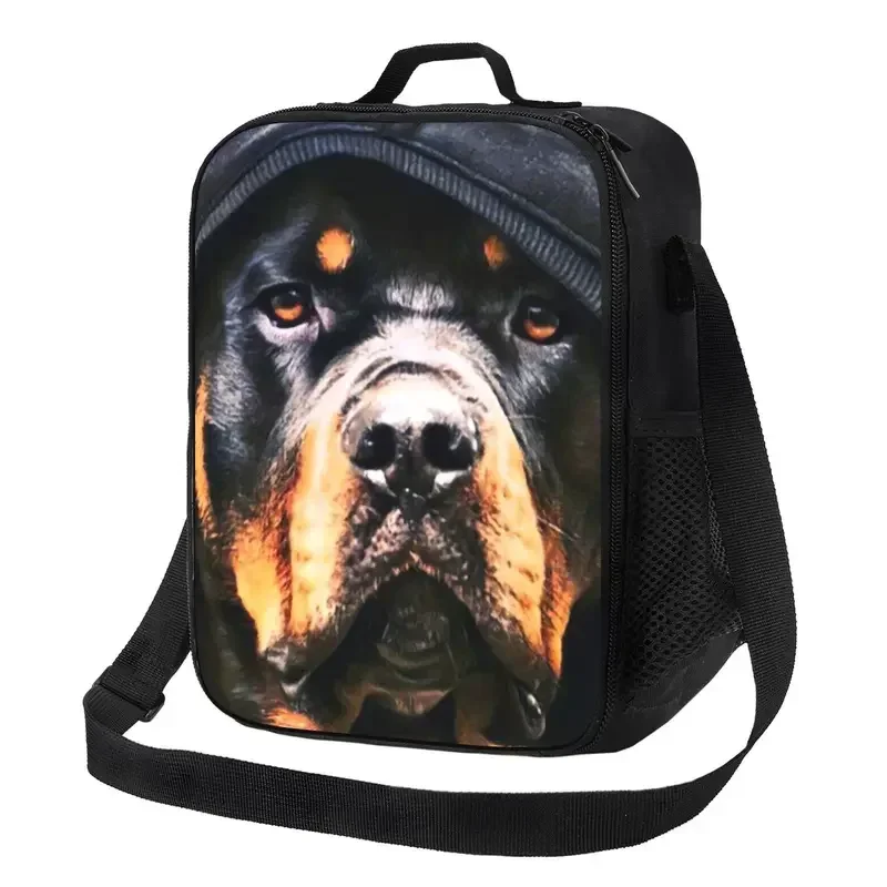 Rottweiler-Dog-Insulated-Lunch-Bags-for-School-Office-Resuable-Thermal ...