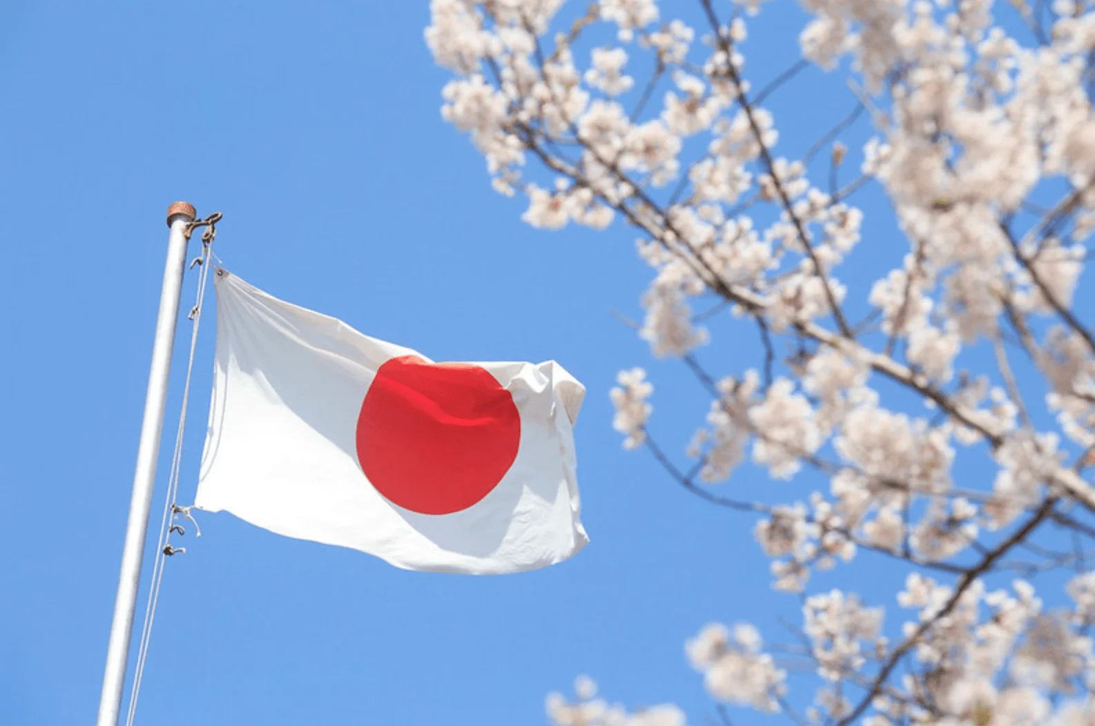 90*150cm Japanese Flag Hanging Polyester standard Flag Banner ...