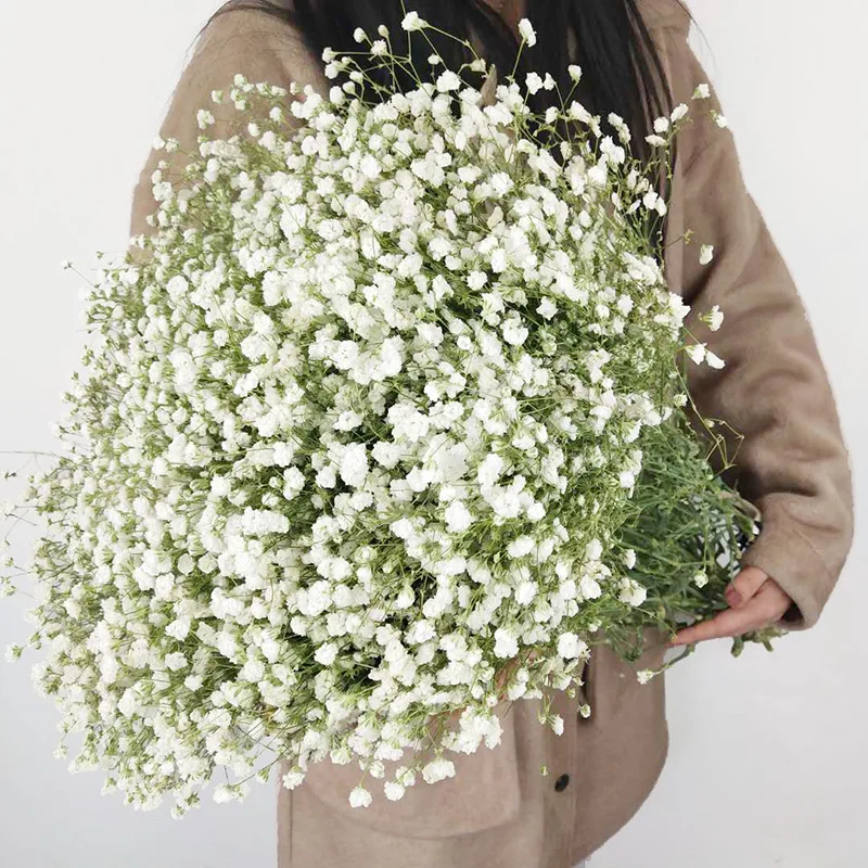 nico-ramo-Baby-Breath-flor-artificial-Gypsophila-pl-stico-DIY-buqu ...