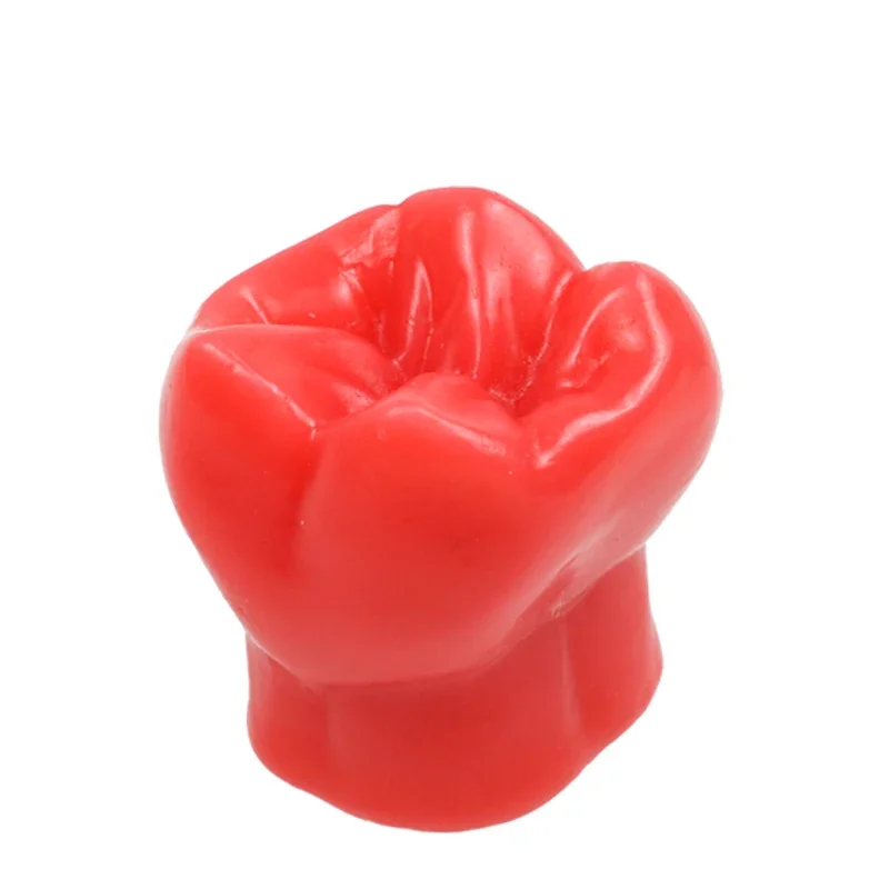 Dental-Wax-Tooth-Model-Carving-Demonstration-Model-Dental-Tooth-Model ...