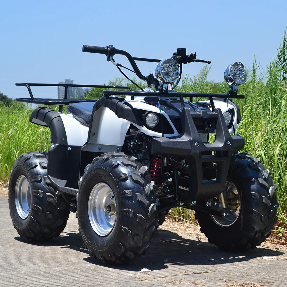 GEND vier-rad strand buggy Berg ATV 125cc/110cc/150cc/200cc doppel vier ...