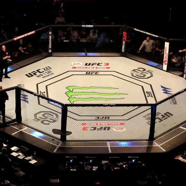 Mma Octagon Cage