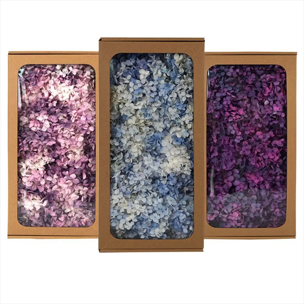 100g-Box-Preserved-Anna-Hydrangea-Gradient-Real-Eternal-Petals-Wedding ...