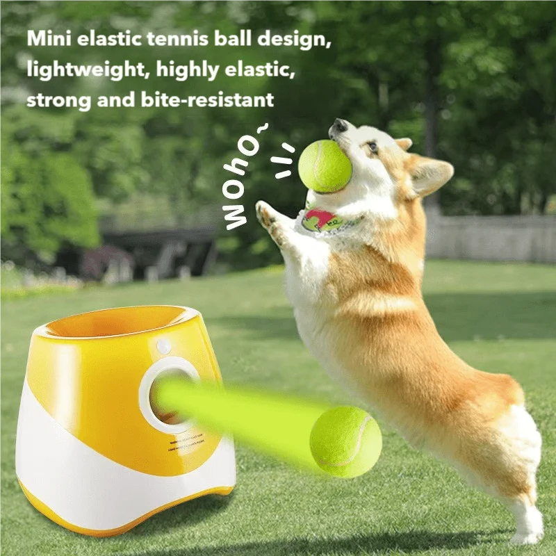 Automatic Dog Ball Launcher - Interactive Pet Toy for Retrieval ...