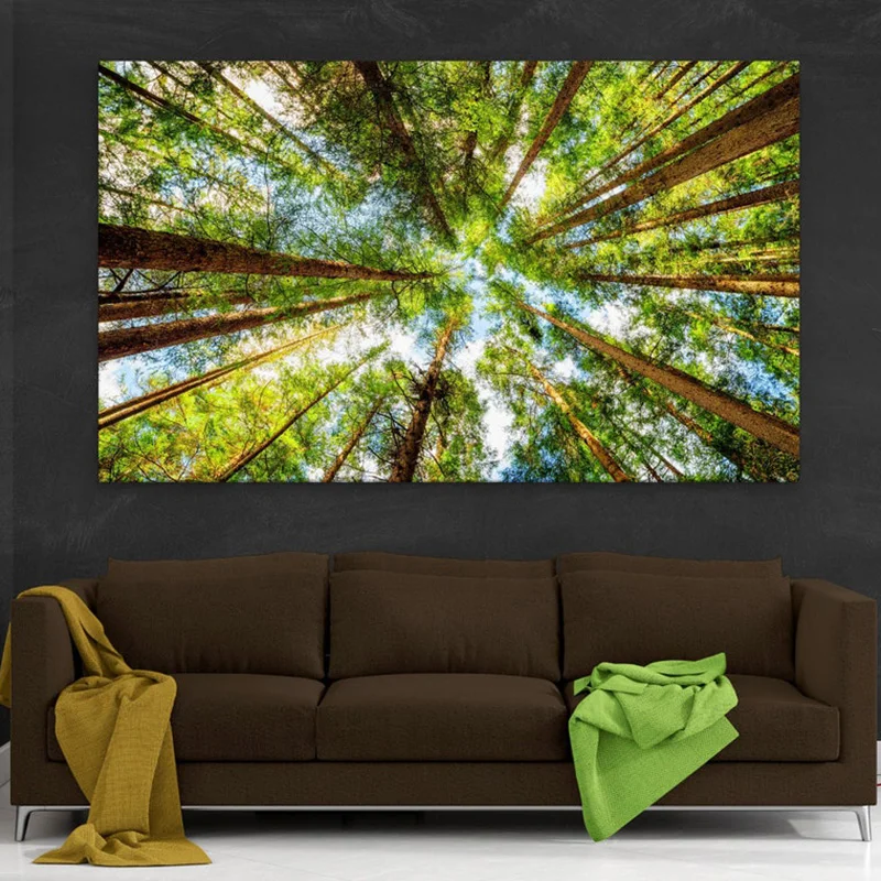 Forest Canvas | Forest Canvas Paintings