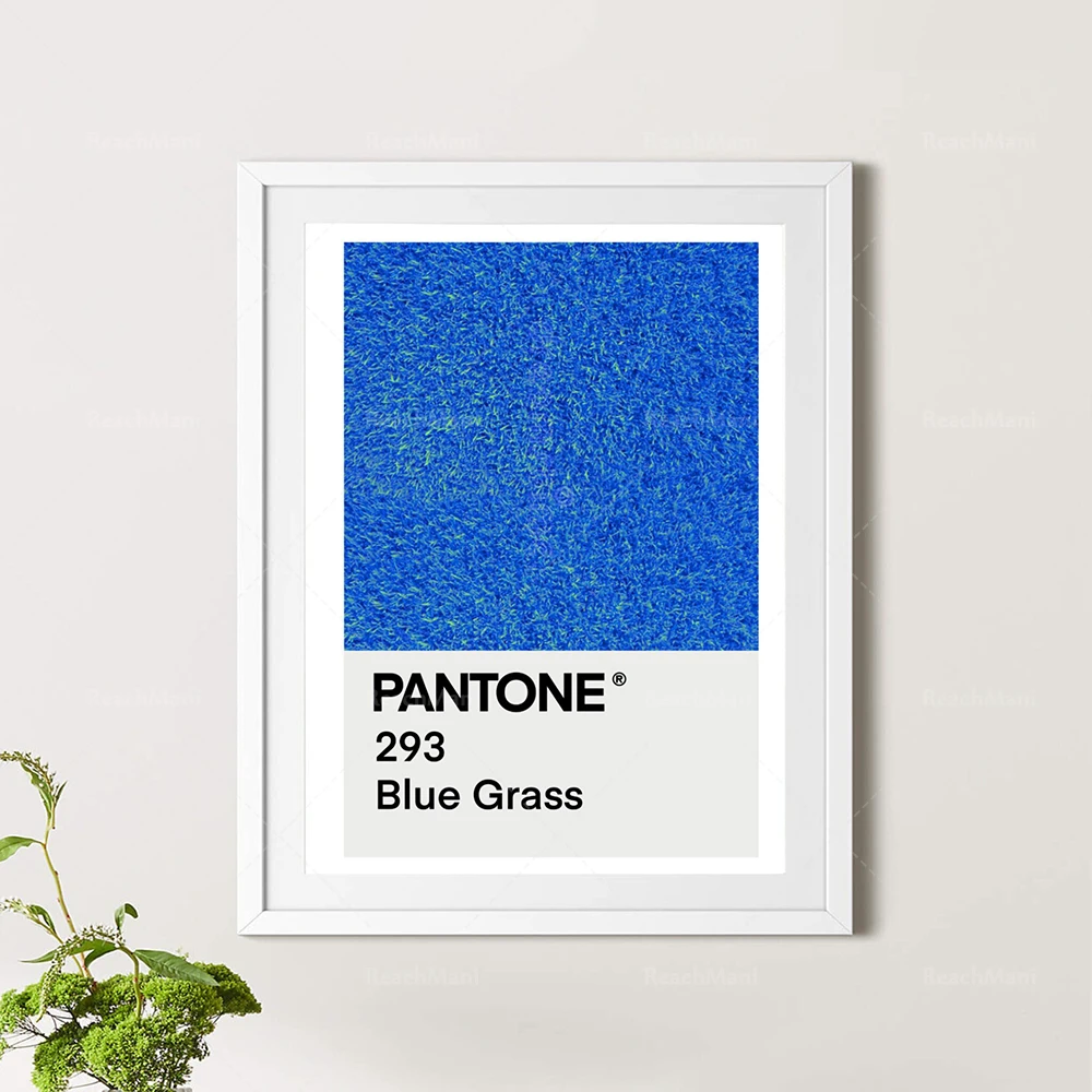 Pantone 293