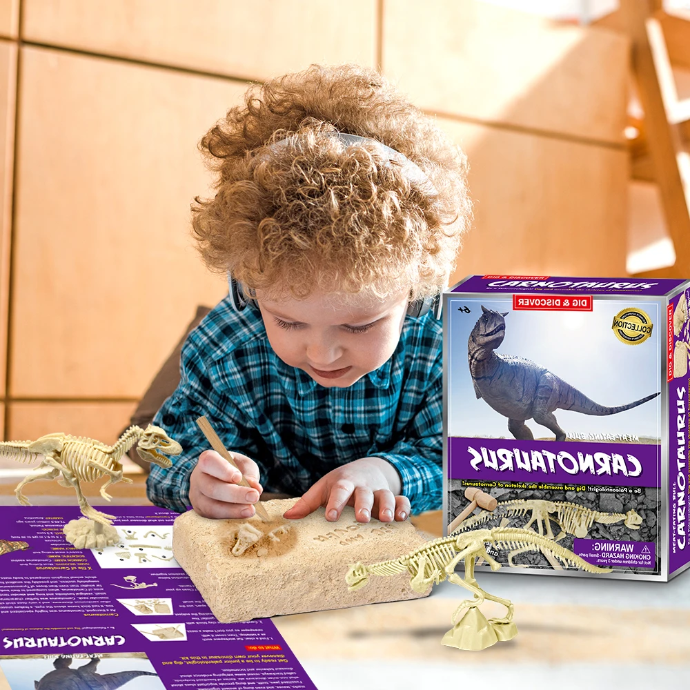 Dinosaur Fossil Digging Kit | Mustela Baby