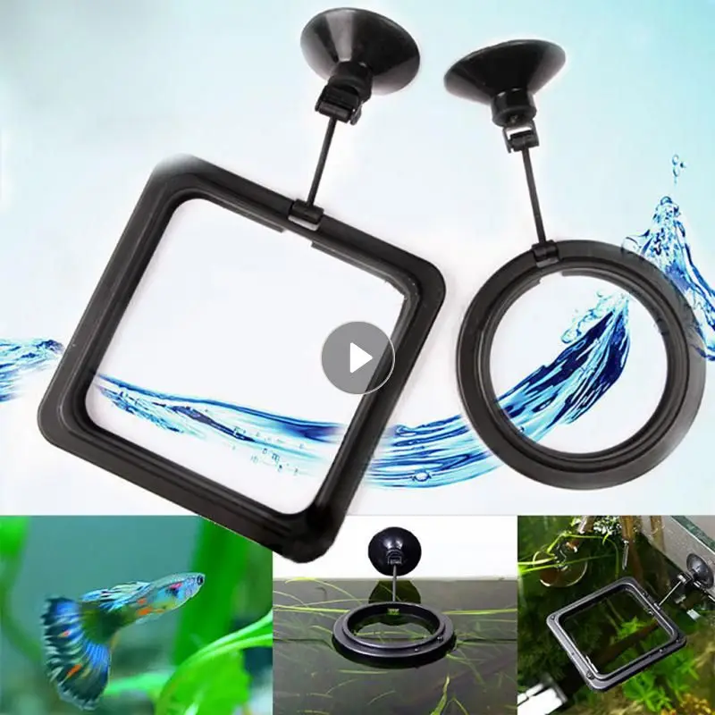 Aquarium-Feeding-Ring-Fish-Tank-Station-Floating-Food-Tray-Feeder ...
