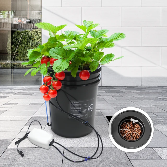 5-Gallon Deep Water Culture DWC Hydroponic Growing System, 51% OFF