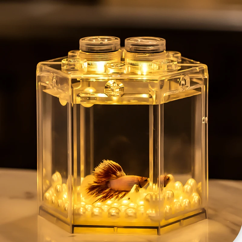 Cube Betta Fish Bowl