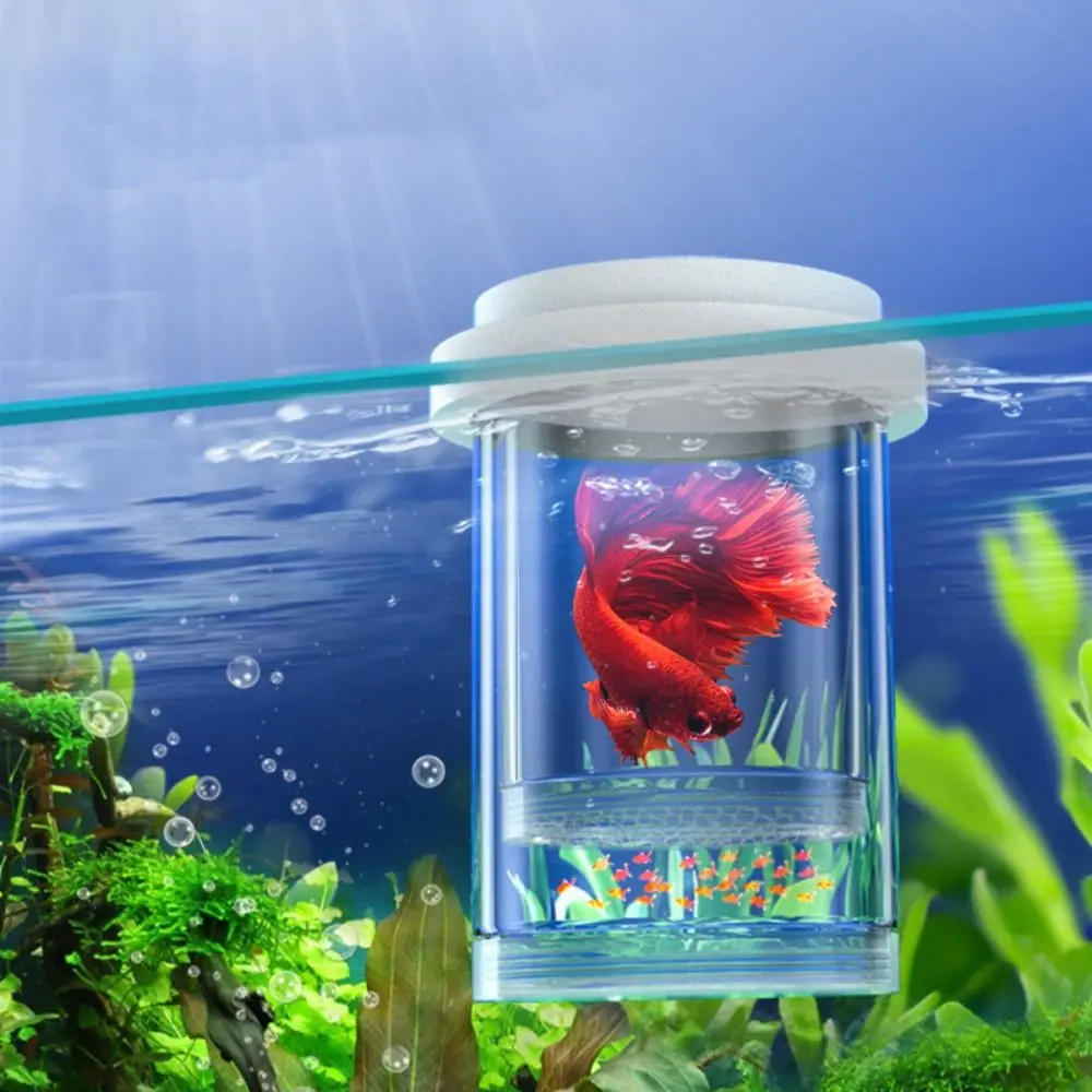 Fine-Coarse-Mesh-Floating-Hatching-Box-Plastic-Fish-Tank-Hatching ...