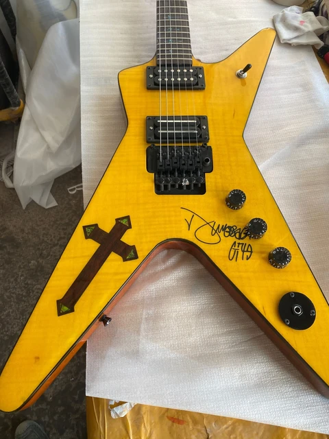 Dimebag Signature Guitar