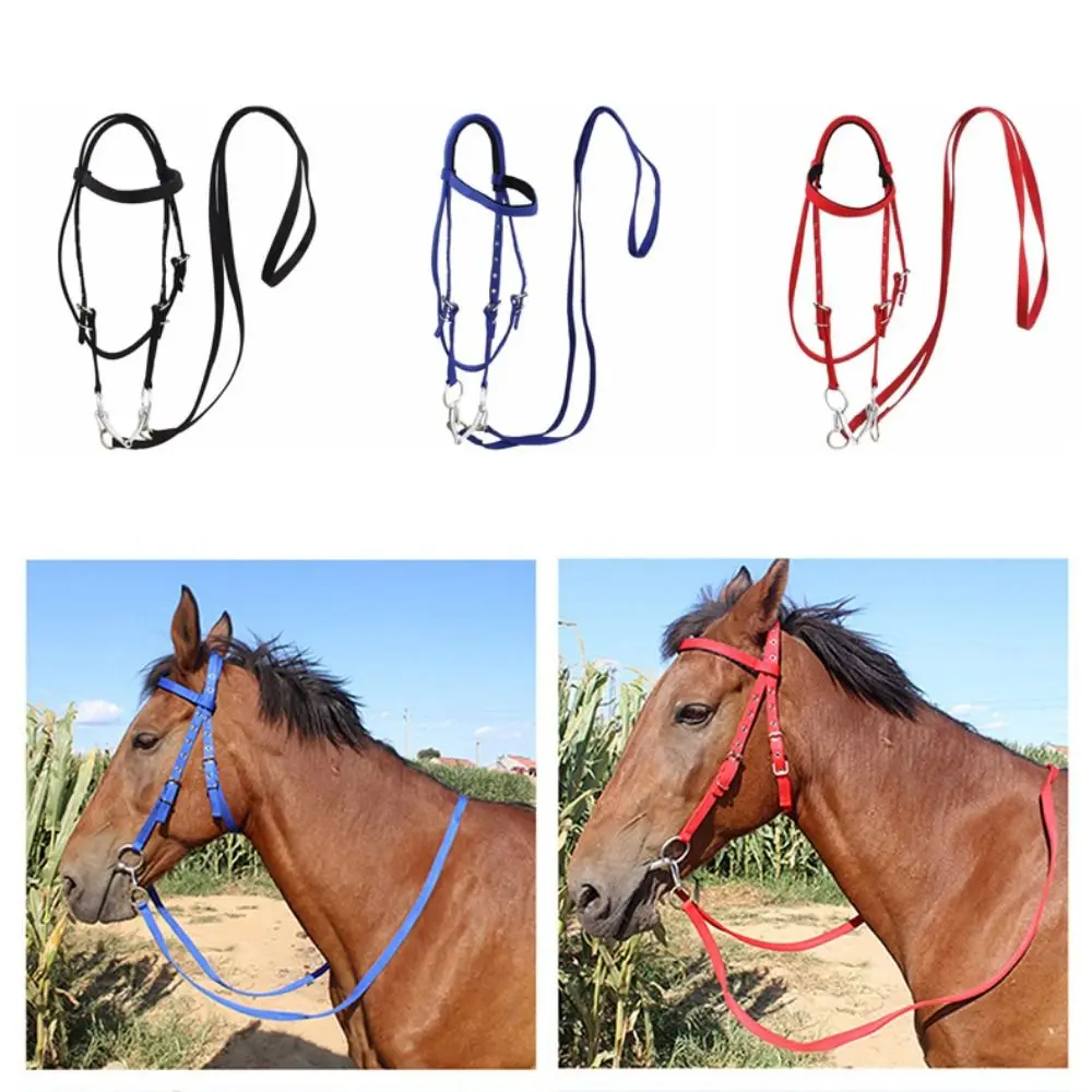 Labeled Horse Bridle Parts: What You Really Need to Know Before Buying