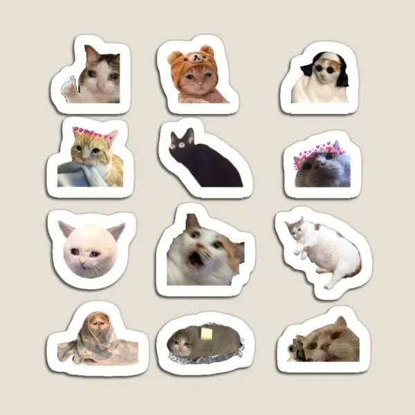 Cat-Meme-Sticker-Pack-Magnet-for-Fridge-Organizer-Children-Holder-Home ...