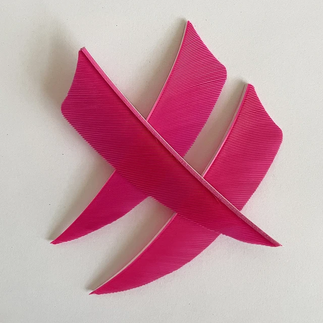 50Pcs 3Inch Archery Fletches Feather Arrow Fletching Natural Turkey ...