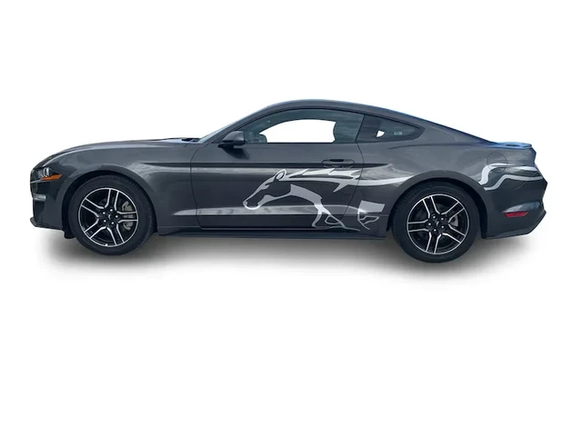 Mustang Body Graphics