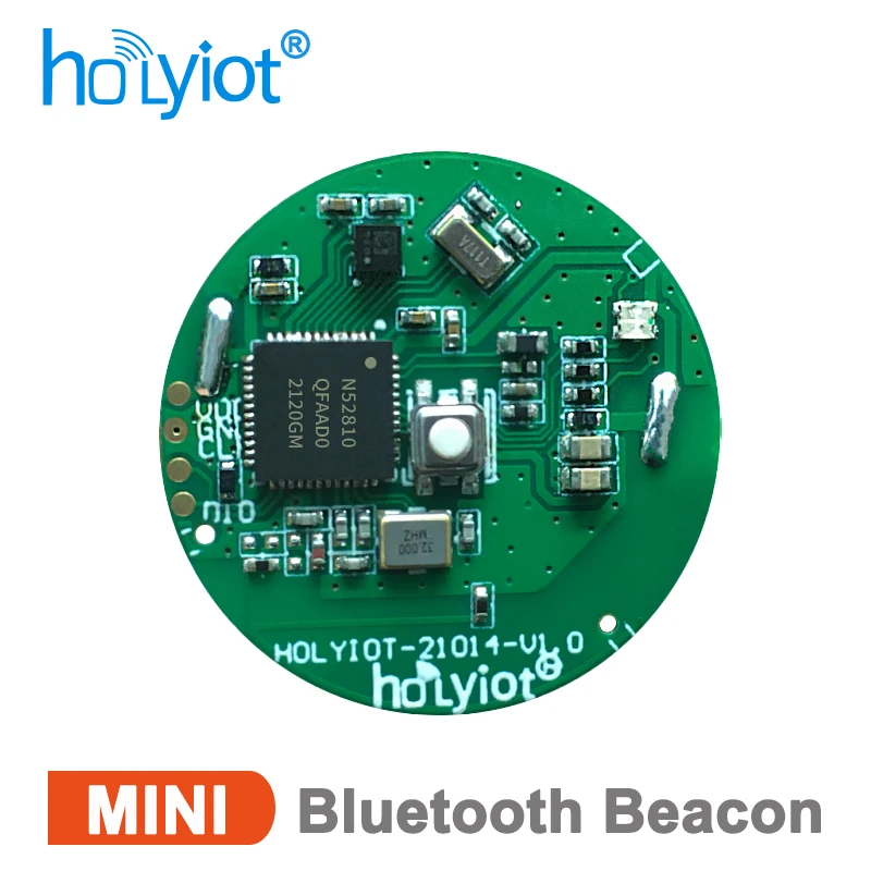 Holyiot-aceler-metro-de-3-ejes-nRF52810-baliza-Bluetooth-BLE-5-0-m-dulo-Bluetooth-de.jpg