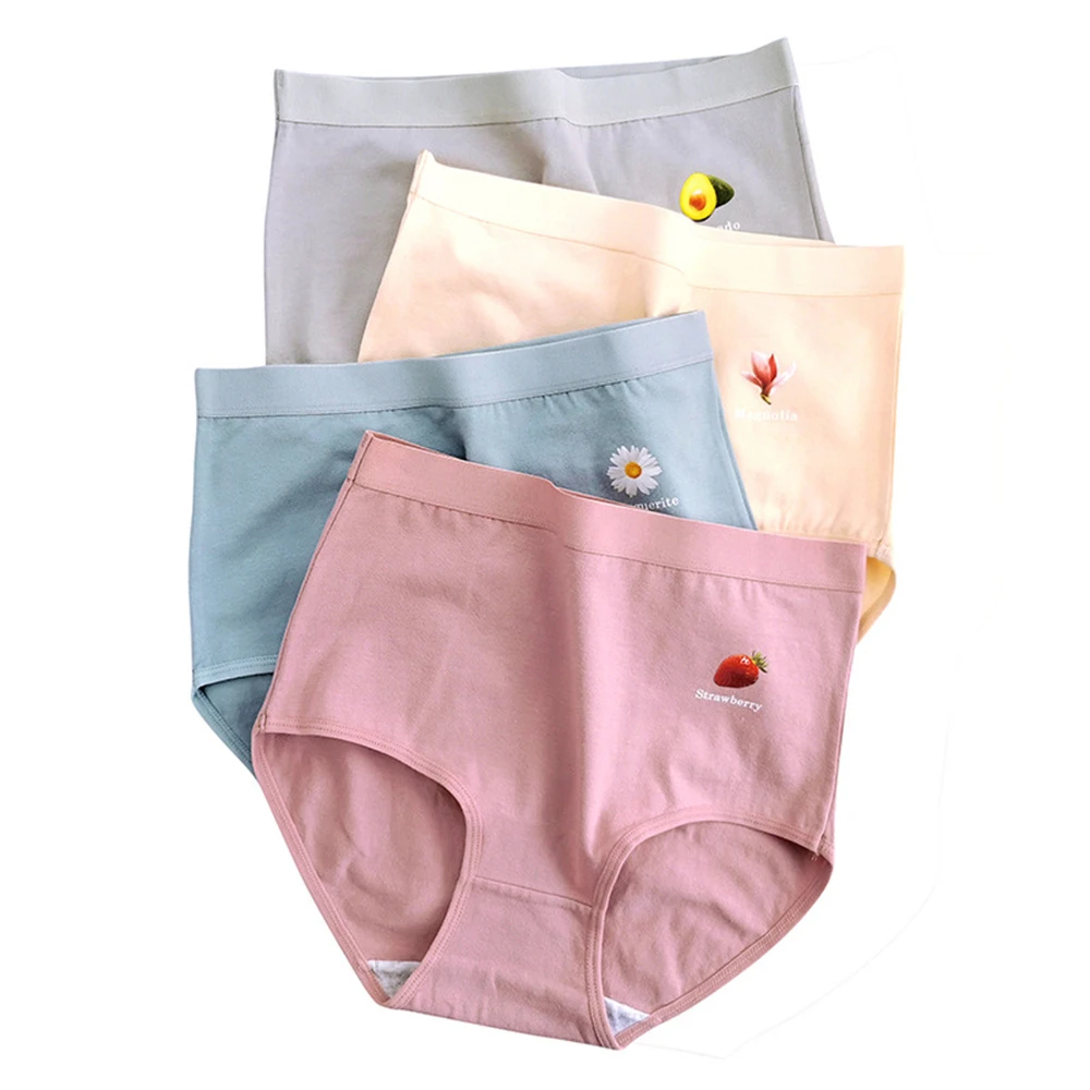 Cotton Panties Briefs | Calzon Women | Xxxl Panty Underwear | Xxxl ...