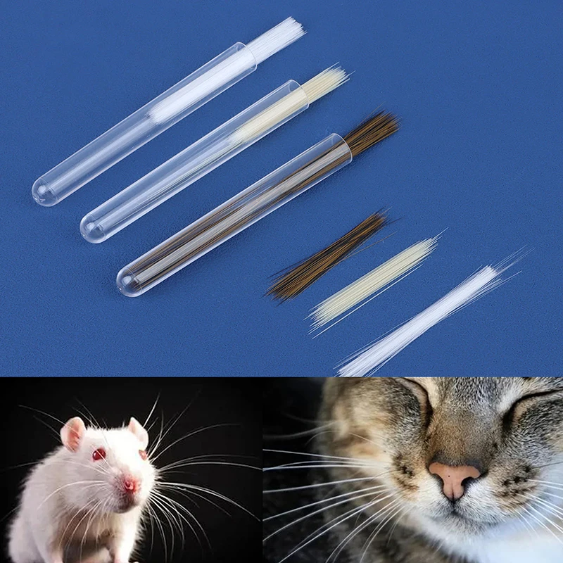 Simulazione-barba-di-gatto-barba-animale-feltro-di-lana-accessori-fai ...