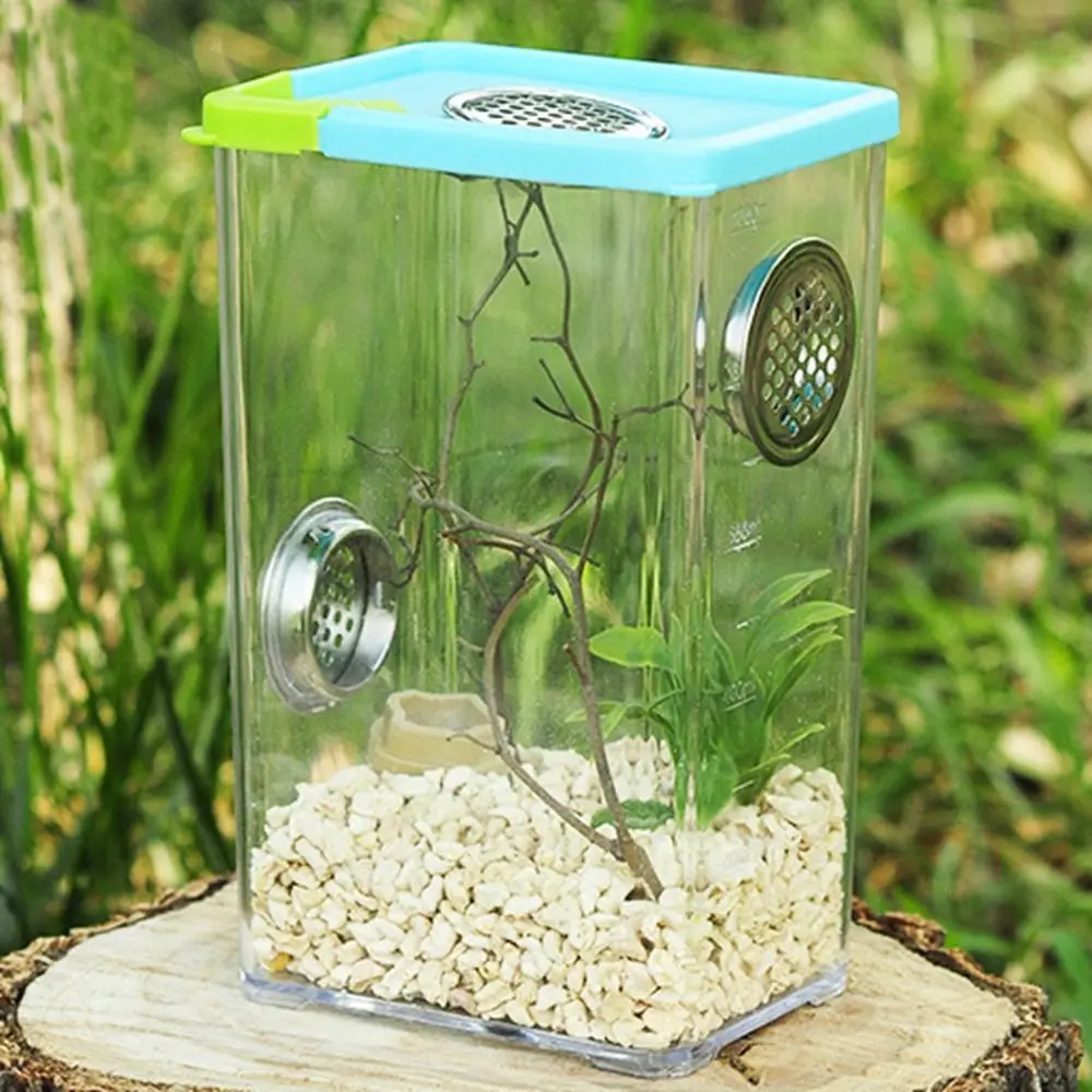 Transparent-Acrylic-Climbing-Pet-Box-Acrylic-Reptile-Feeding-Box ...