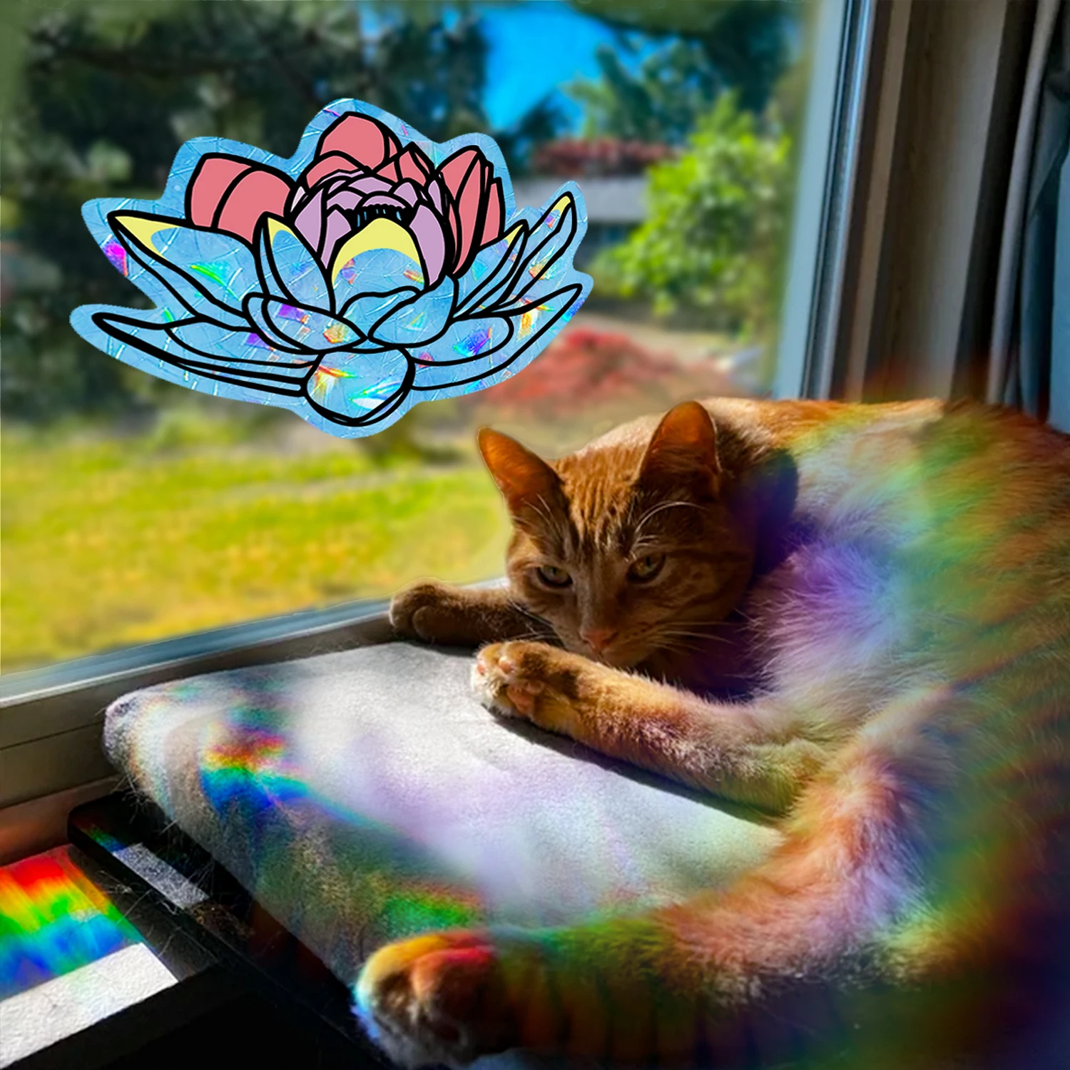 Kizcozy Colorful Lotus Pattern 3d Rainbow Sun Catcher Wall Stickers ...