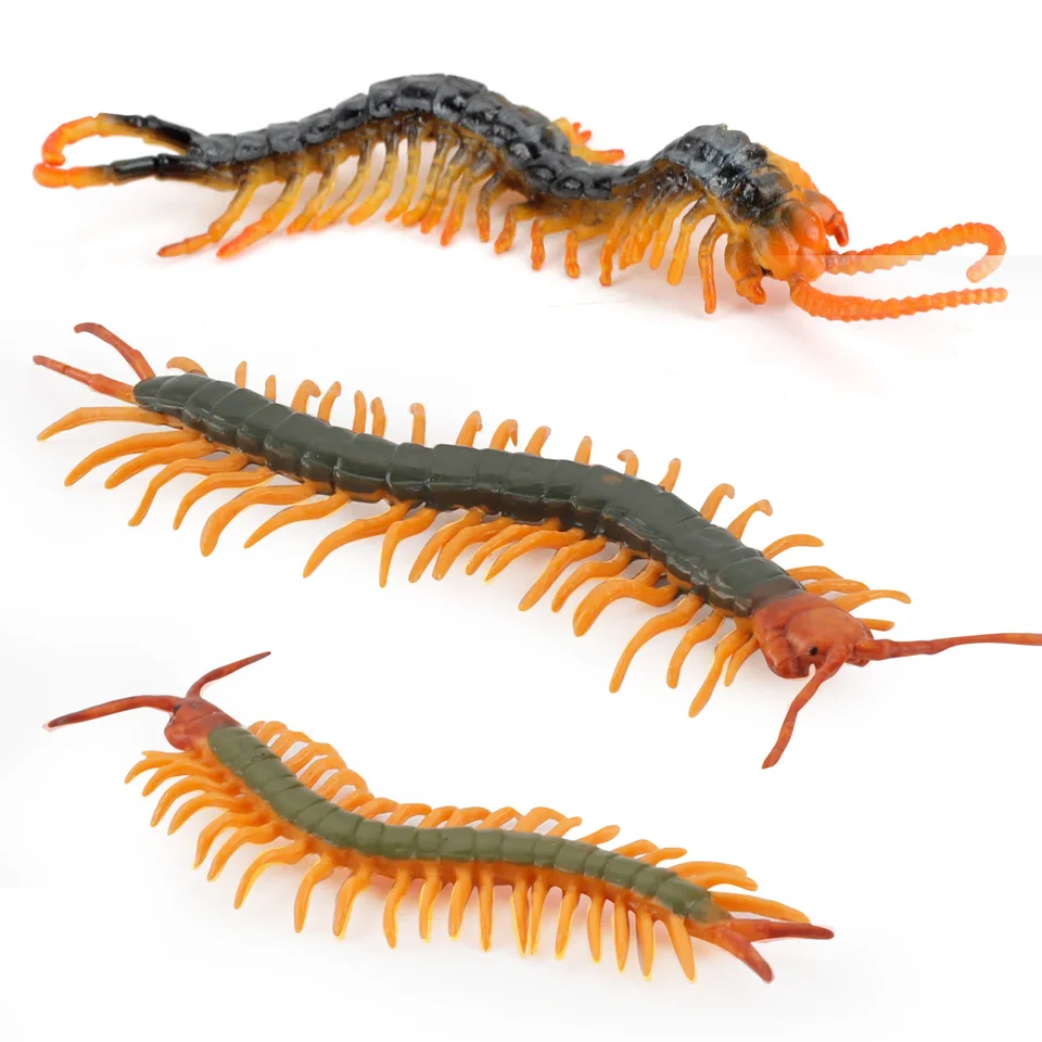 Lipan Raksasa