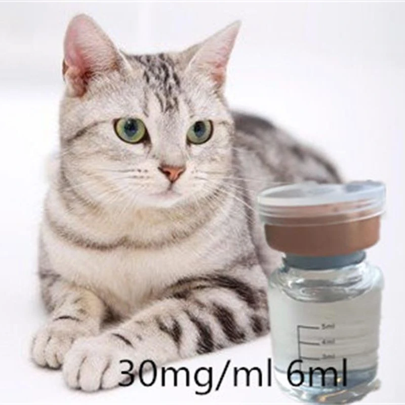 Cat Fip / Fipv Infectious Peritonitis Feeding Liquid 30mg 6ml - Feeding ...