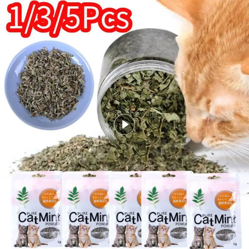 Cat-Mint-Catnip-Natural-Catnip-Organic-Pets-Mint-Grass-Menthol-High ...