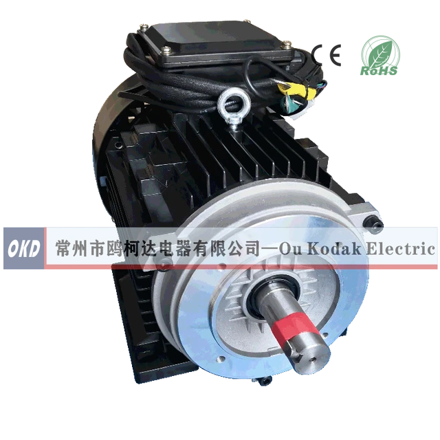 1000w BLDC Motor 48v 1kW BLDC Motor 48v Electric Mid Drive, 57% OFF