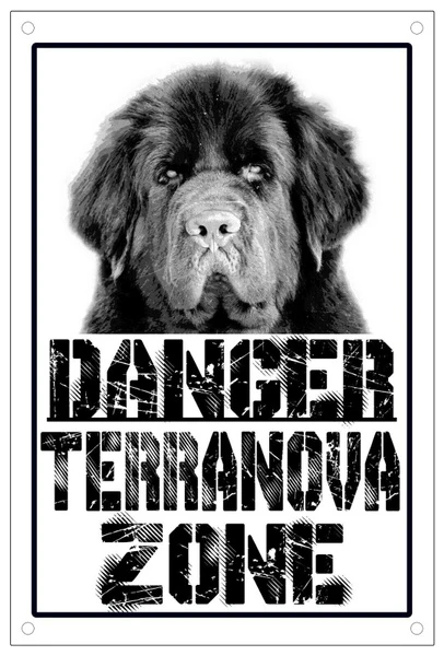 Are Newfoundlands Dangerous