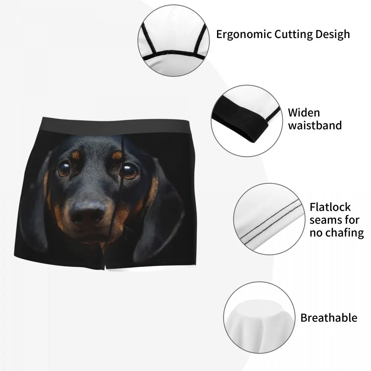 Weiner Dog Boxer