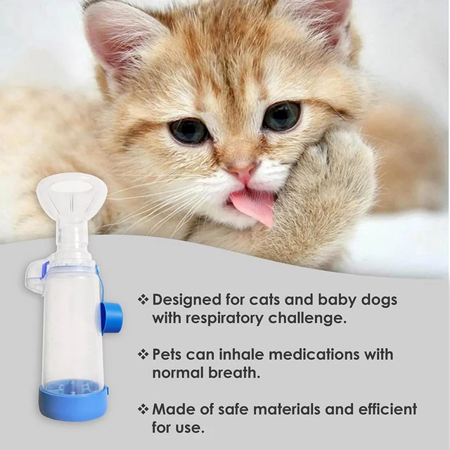 Drontal Cat Wormer Aazon.co : Pet Inhaler Spacer With Face Ask For Sall ...