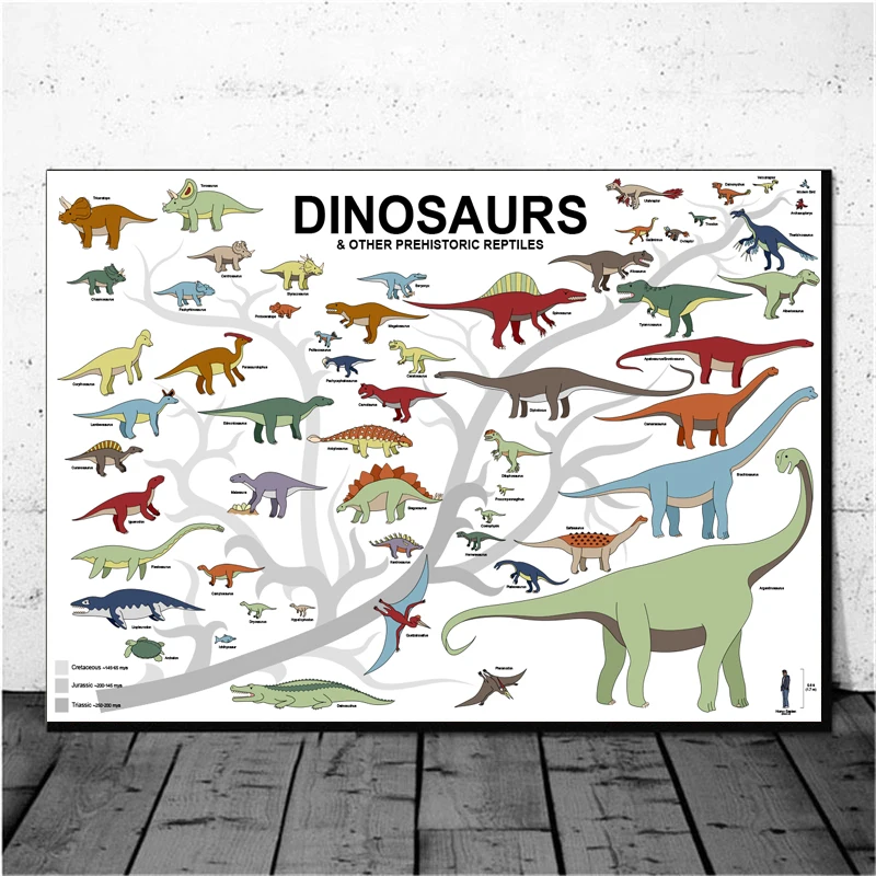 Evolution Of Animals Chart