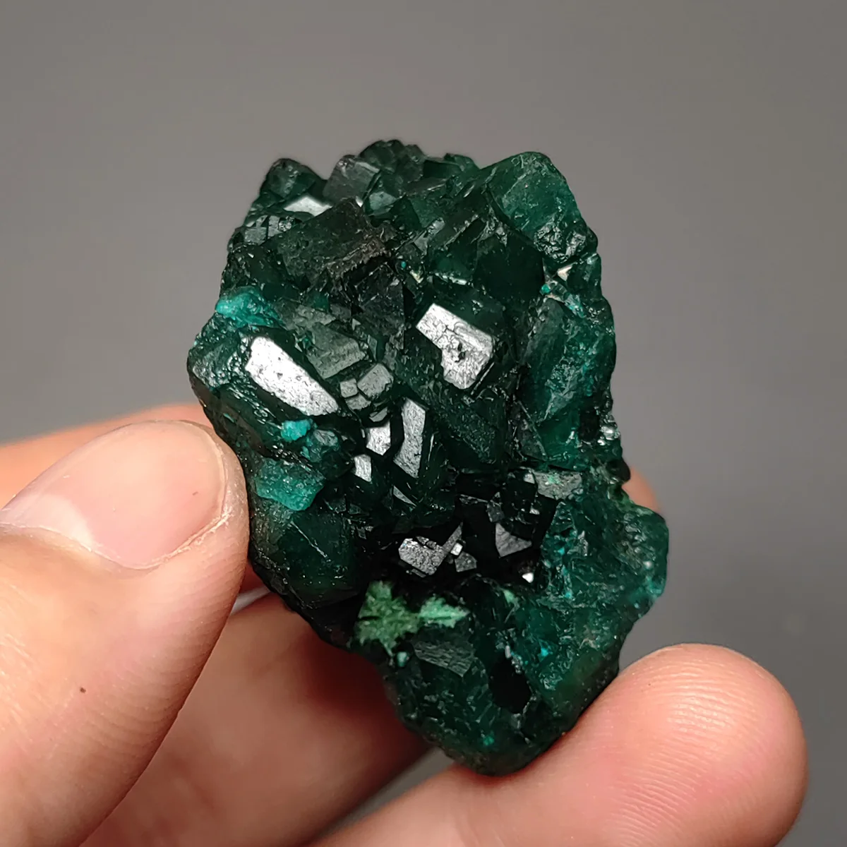 C5-1B-100-Natural-Congo-Dioptase-Raw-Stone-Mineral-Specimen-Healing ...