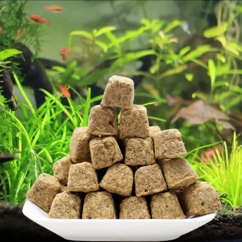 Aquarium-Freeze-Dried-Shrimp-Eggs-Blocks-Tropical-Marine-Fish-Food ...