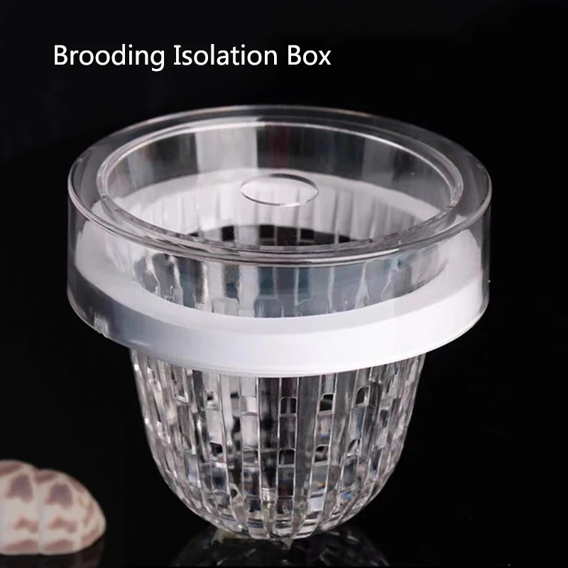 Store Home Products Getaway Deals Feedback