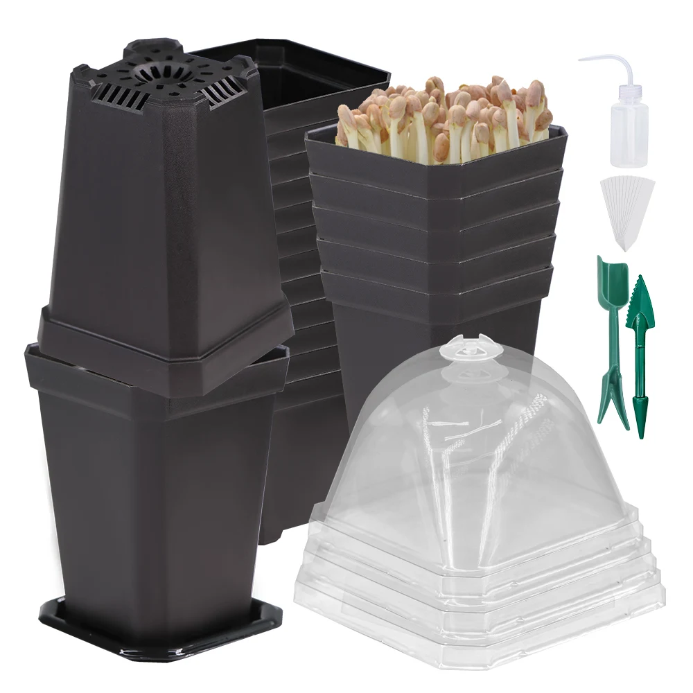 Seeds-Germination-Box-Seedling-Growing-Container-with-Clear-Cover ...