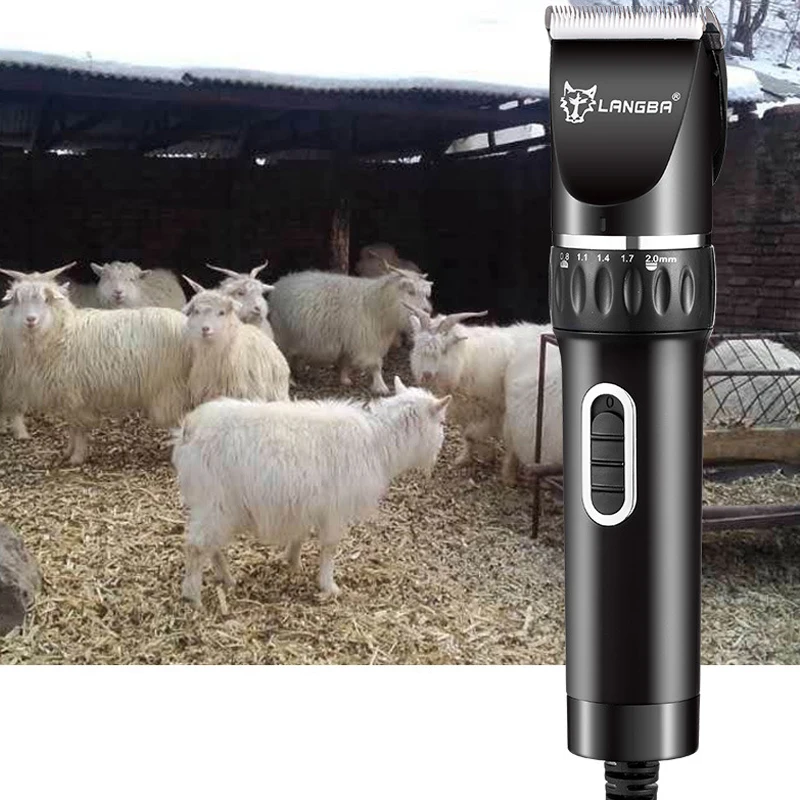 High-Power-Professional-Electric-Pet-Hair-Clippers-Cat-Dog-Trimmer-Cat ...