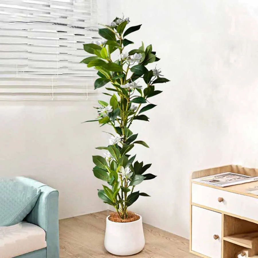 Artificial Ficus – Bloom Haven Shop
