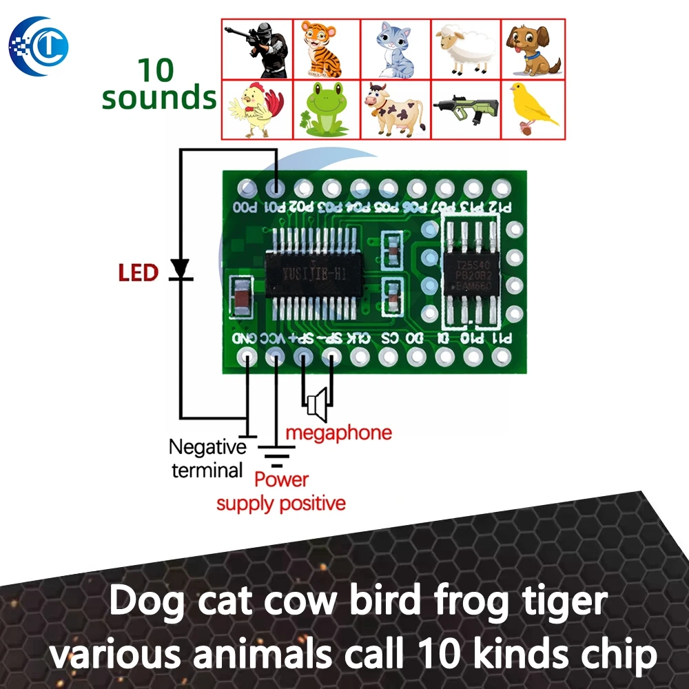 Dog-cat-cow-bird-frog-tiger-various-animals-call-10-kinds-of-gun-sounds ...
