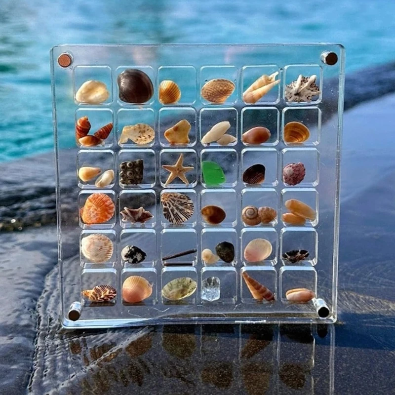 Y1UB-Acrylic-Display-Box-Square-Seashells-Holder-Case-Seashells ...